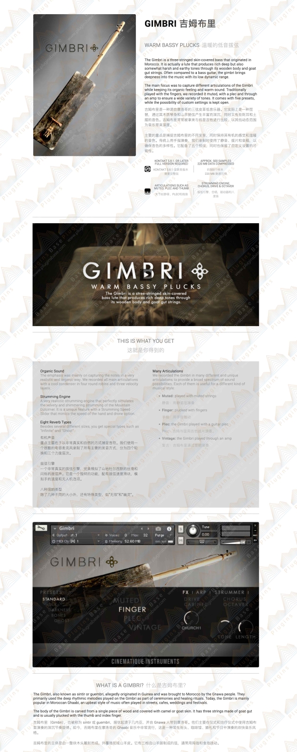 摩洛哥三弦弹拨低音乐器音源 Cinematique Instruments Gimbri KONTAKT 编曲音色库 - 插件基地