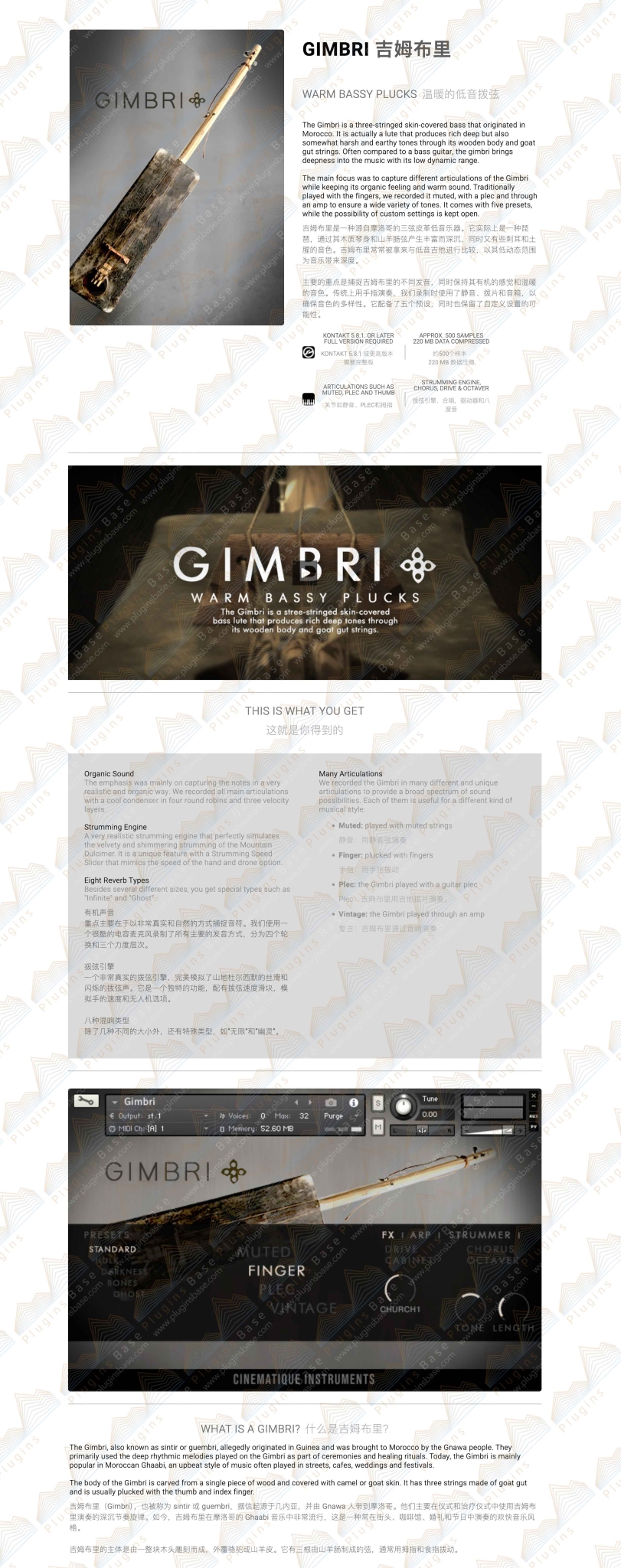 摩洛哥三弦弹拨低音乐器音源 Cinematique Instruments Gimbri KONTAKT 编曲音色库 - 插件基地